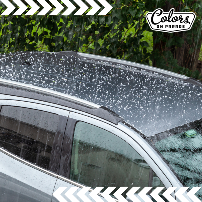 Protecting Your Car's Paint from Nature's Elements | COP USA