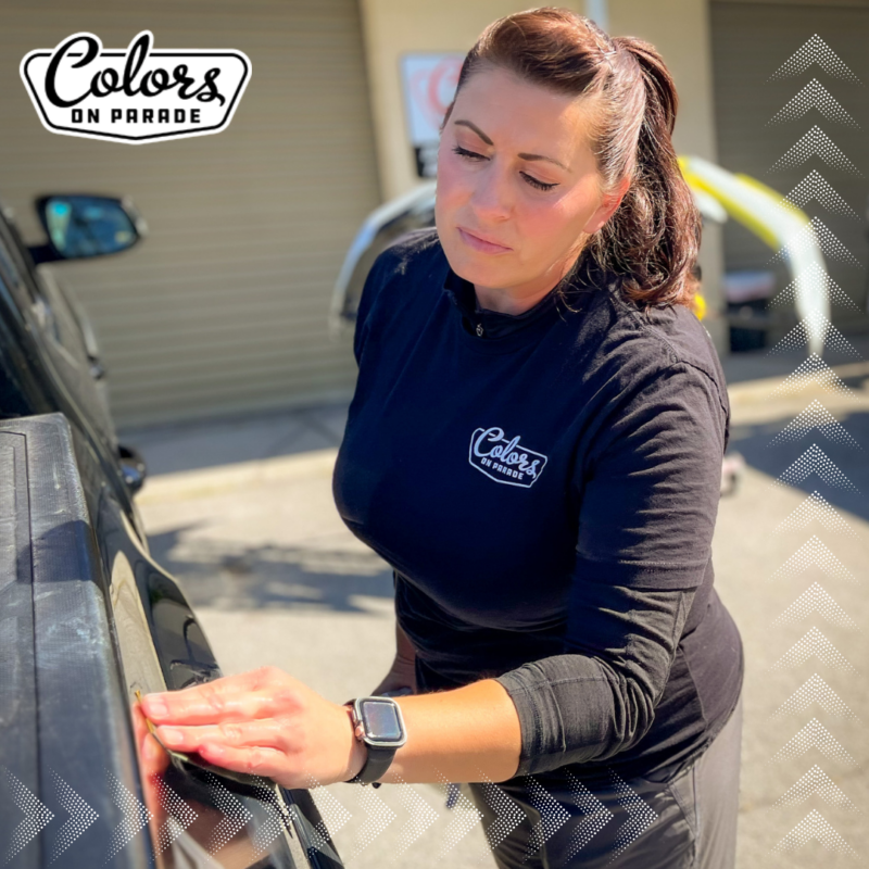 Unit Franchise or Area Developer? The Colors on Parade Franchise Model ...